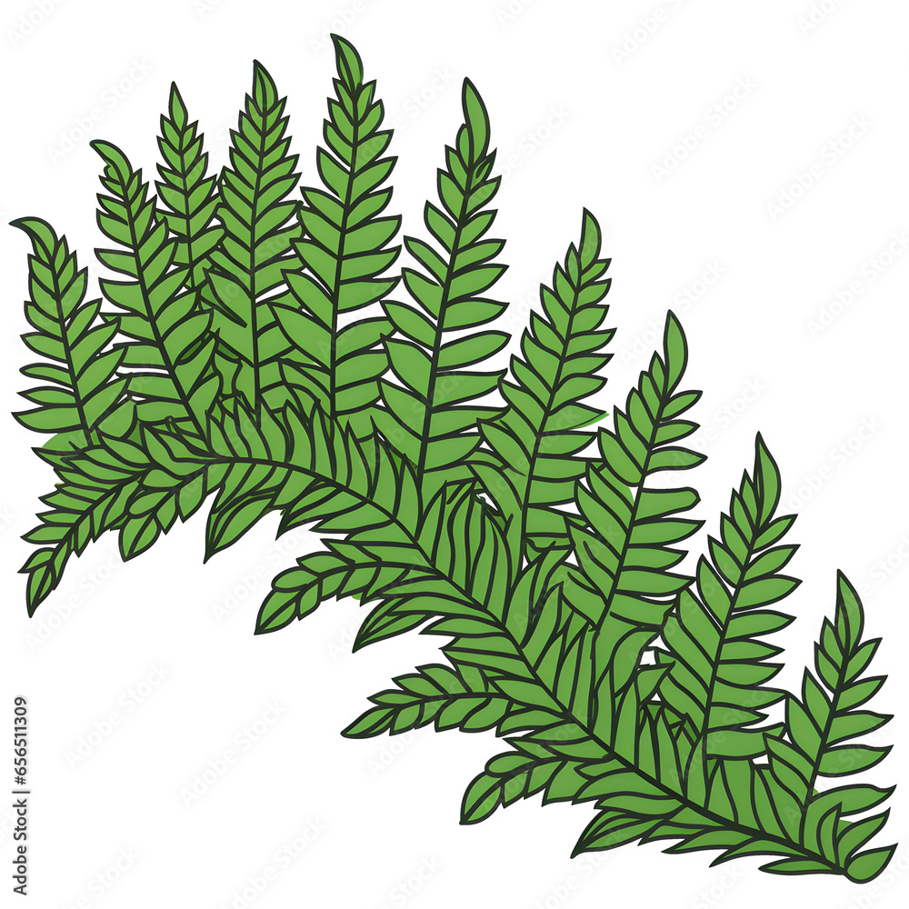 Cartoon clipart of a cascading fern, plant clipart, nature clipart ...