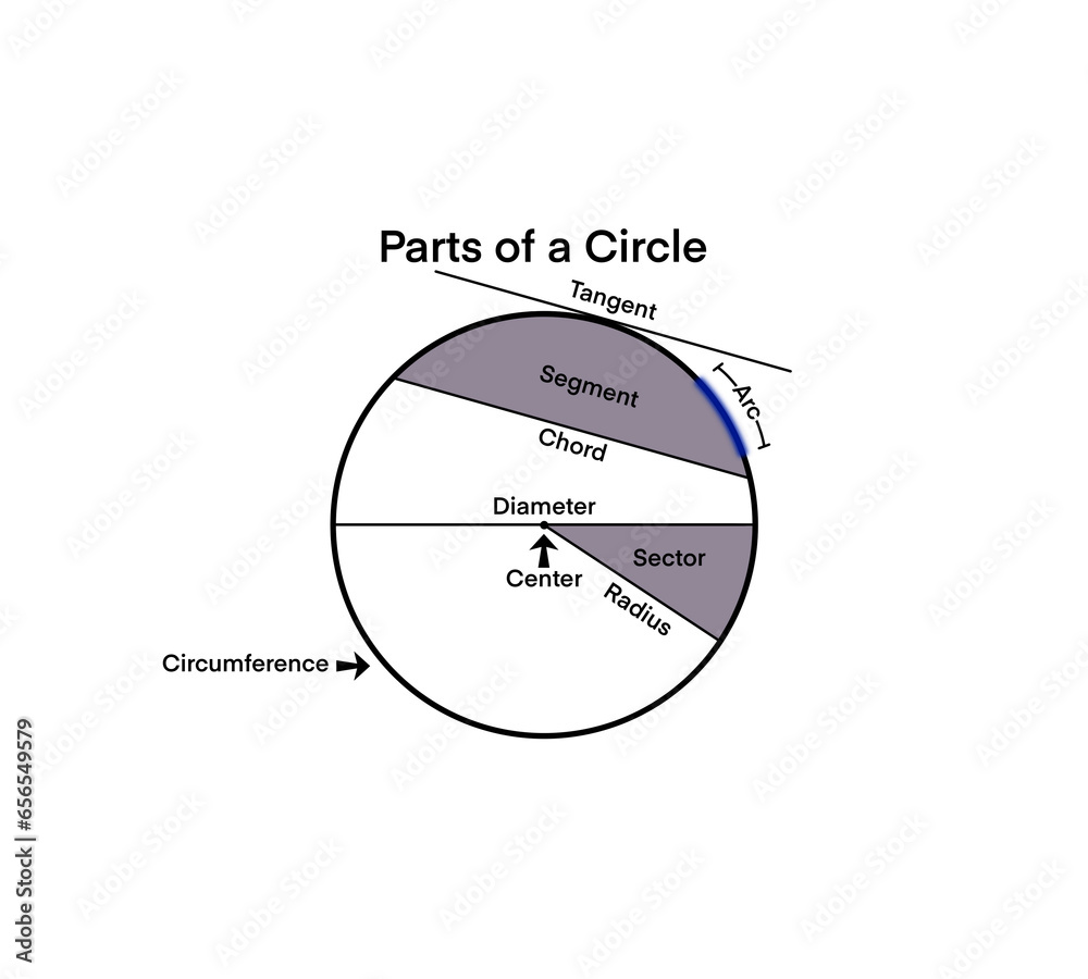 Parts of a circle illustration, segment, radius, diameter, tangent ...