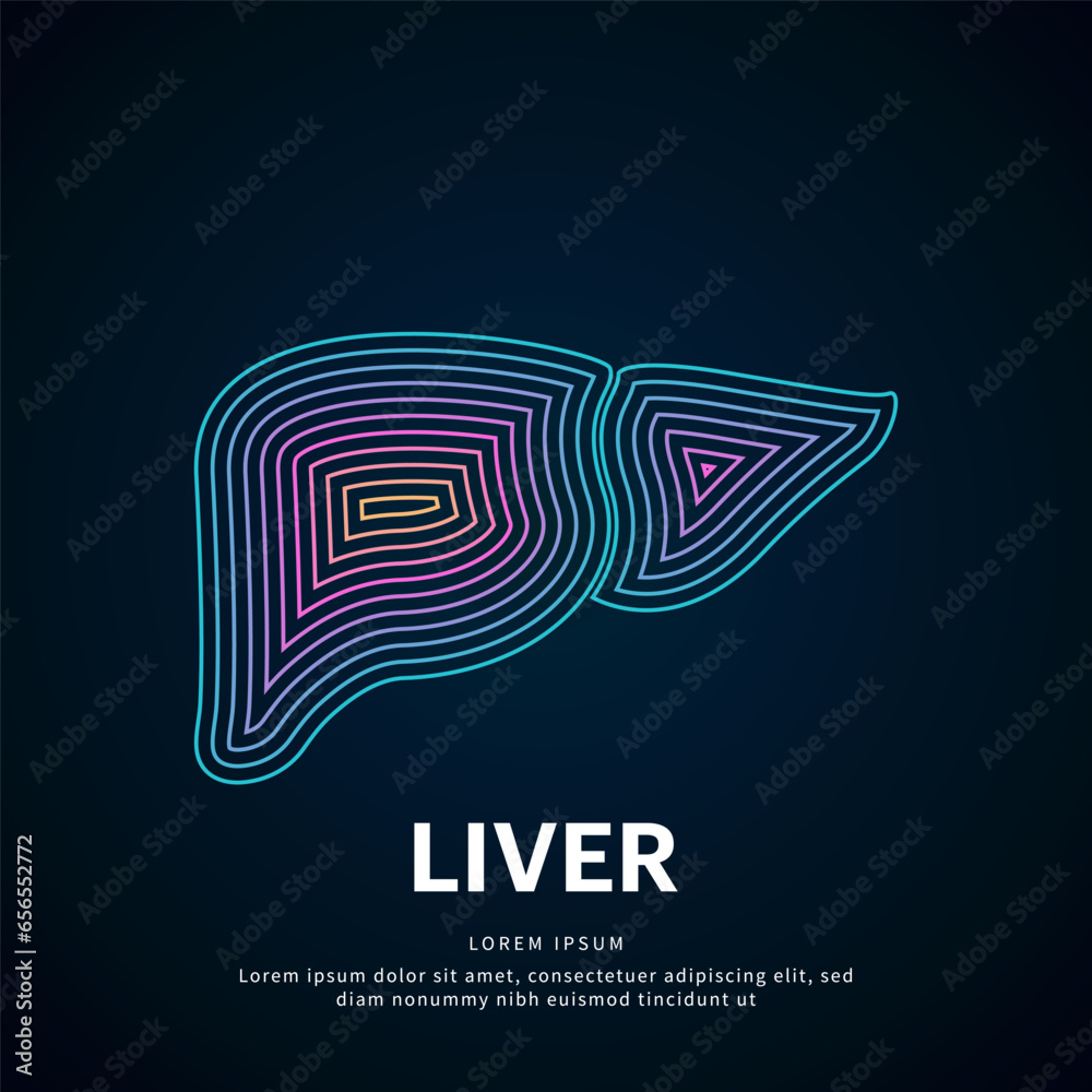 Human liver medical structure. Vector logo liver color silhouette on a ...