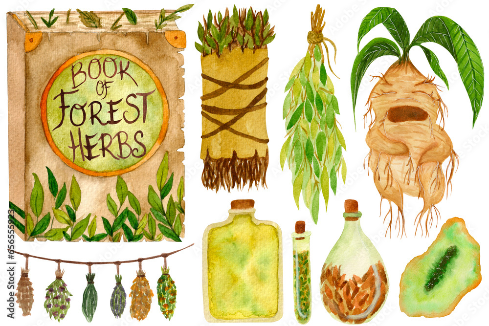 Watercolor witch set, forest book, geode, bottles with herbs, potion ...
