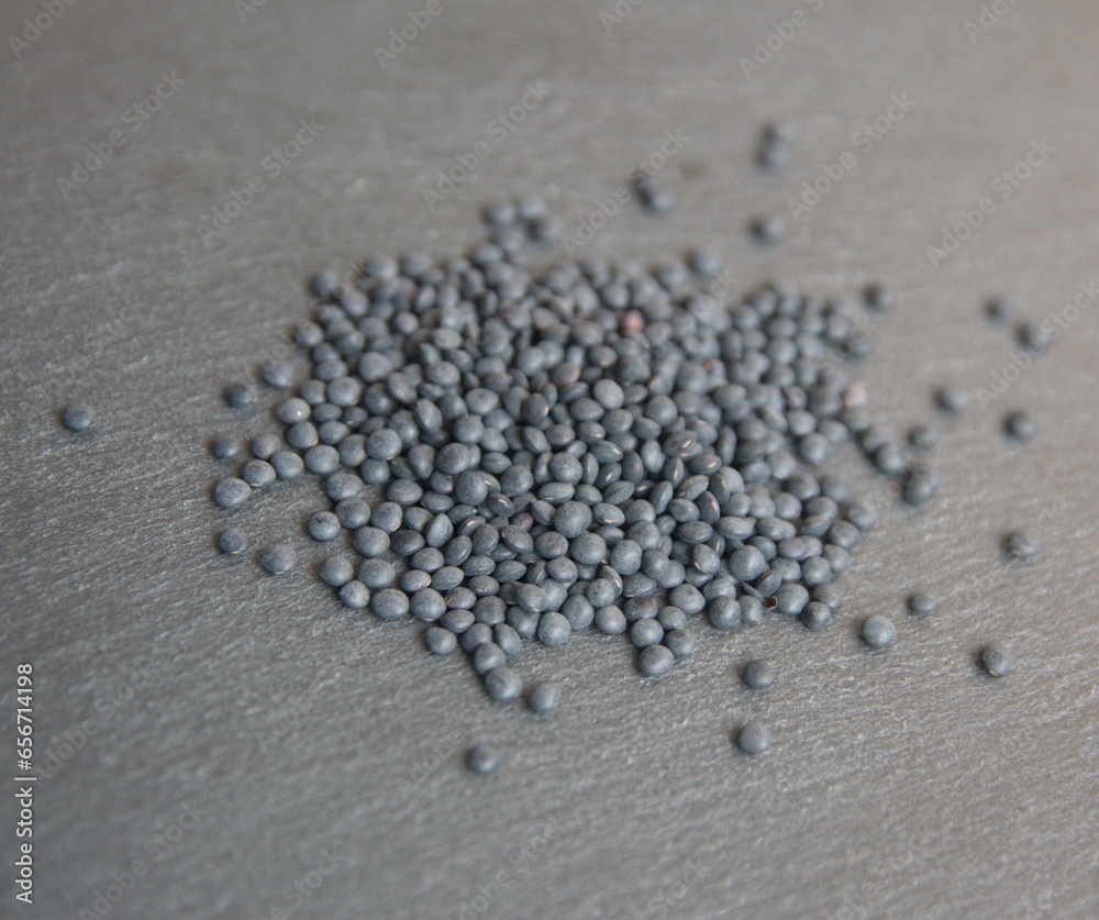 Lenteja Beluga, classic spanish variety of lentil (Lens culinaris or ...