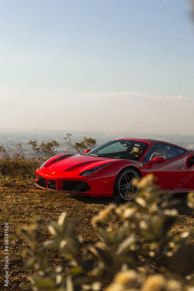Rosso Red Ferrari 488 GTB front end view behind leaves, mountain range ...