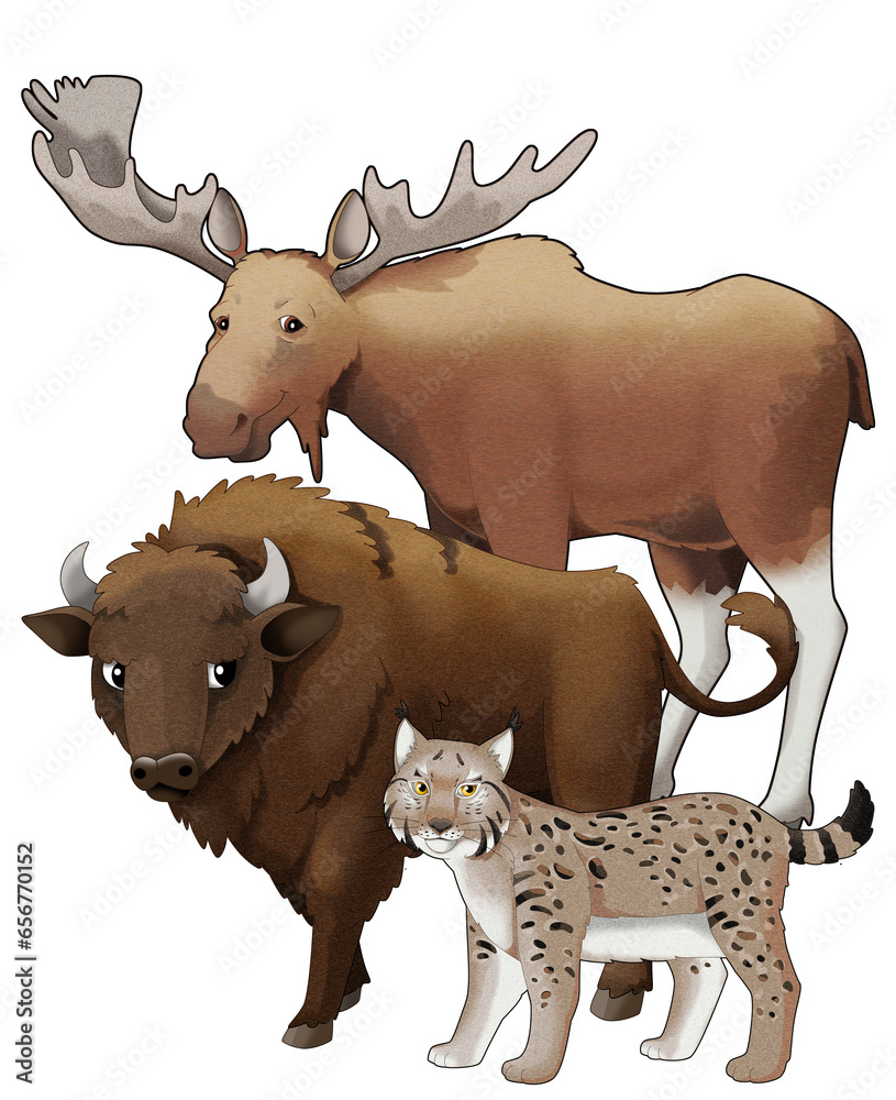 Cartoon wild animal bison aurochs and lynx with moose isolated ...