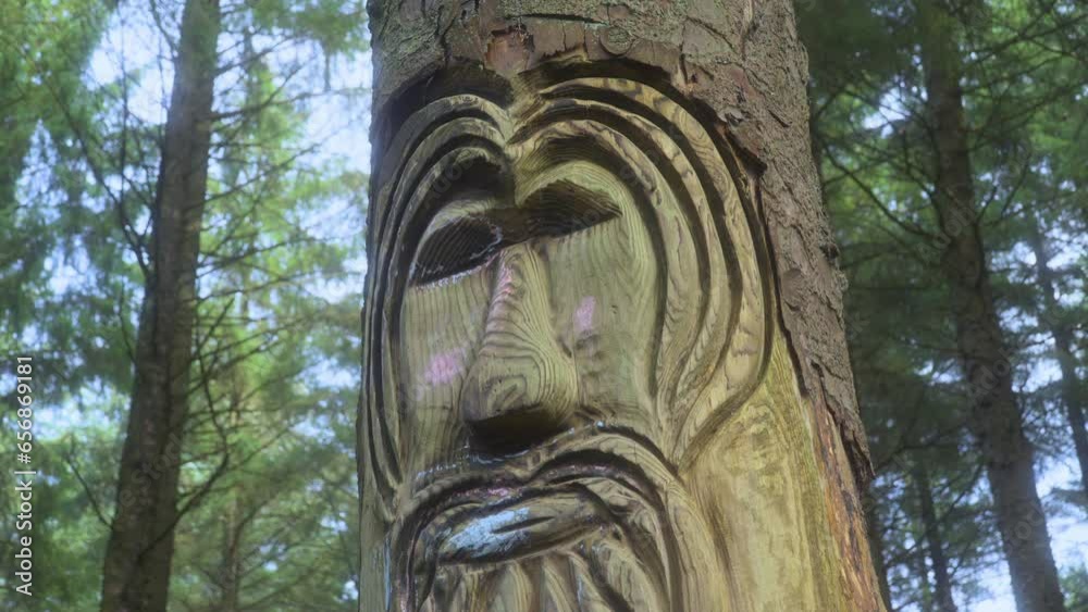 Vidéo Stock Face carved into pine tree trunk in secluded pine forest on ...