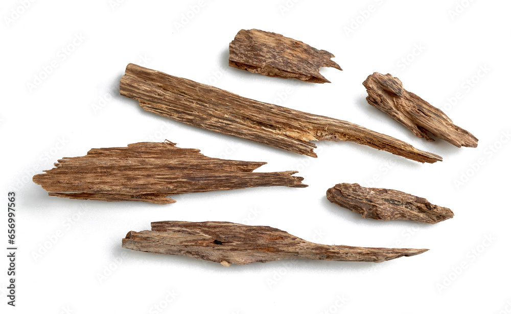 Sticks of agar wood or agarwood on white background. The incense chips ...