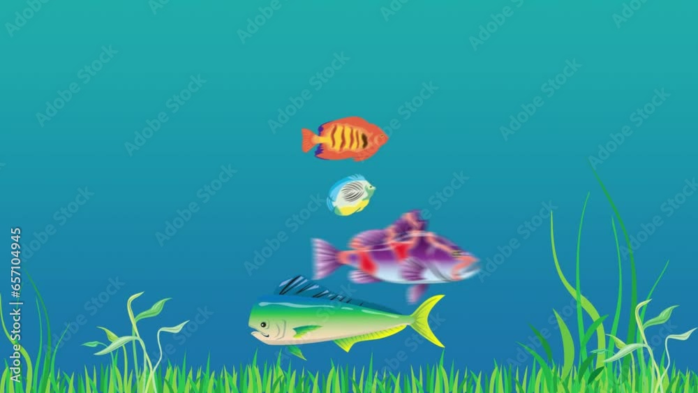 Dive into the mesmerizing world of underwater nature with our ocean ...