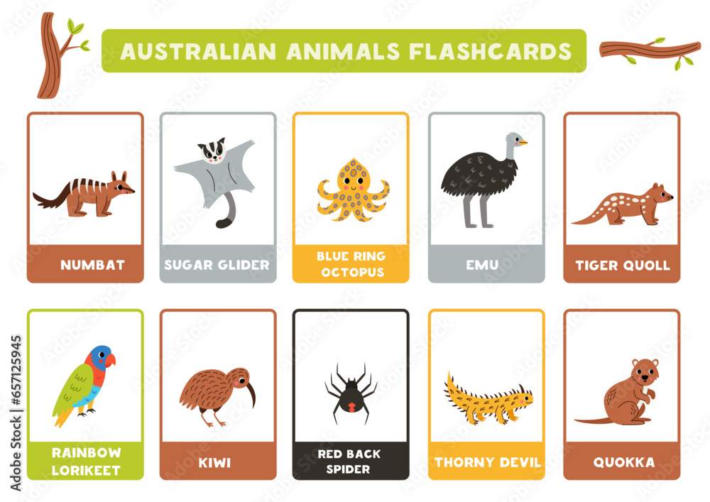 Vetor de Cute Australian animals with names. Flashcards for learning ...