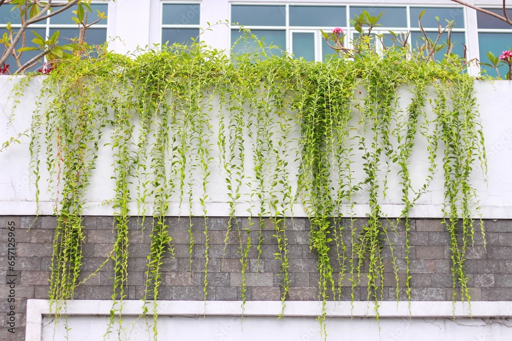 beautiful and modern building planted with lee kwan yew trees or ...