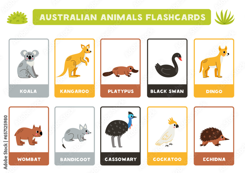Vetor de Cute Australian animals with names. Flashcards for learning ...