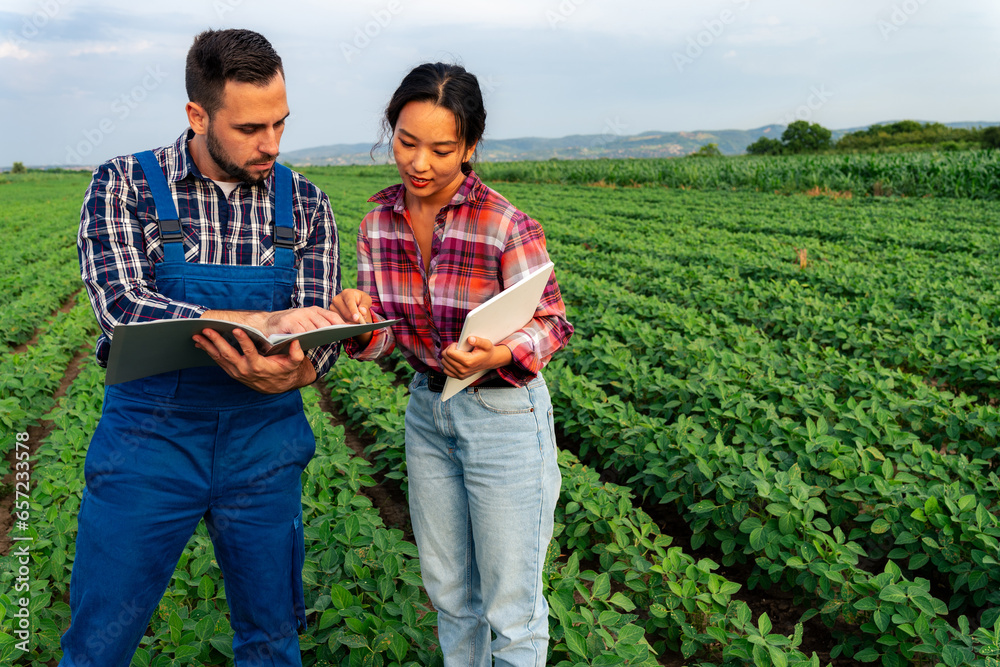 Two agronomy experts walked through the soybean field, discussing and ...
