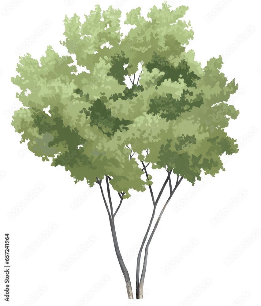 2D illustration of a tree, hand drawing toon or manga style, for ...