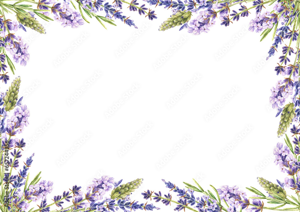 Lavender flower frame border. Watercolor botanical illustration of ...