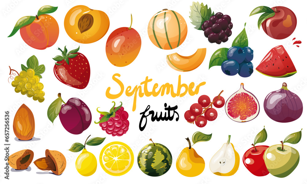 Ensemble de fruits de saison du mois de septembre. Illustration ...