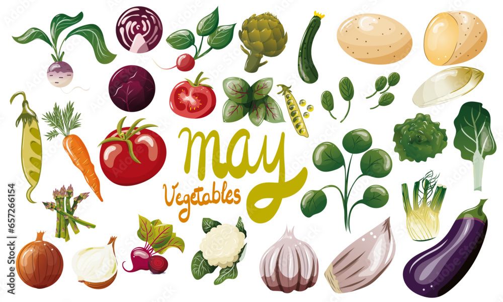 Ensemble de légumes de saison du mois de mai. Illustration vectorielle. Graphic design éléments ...