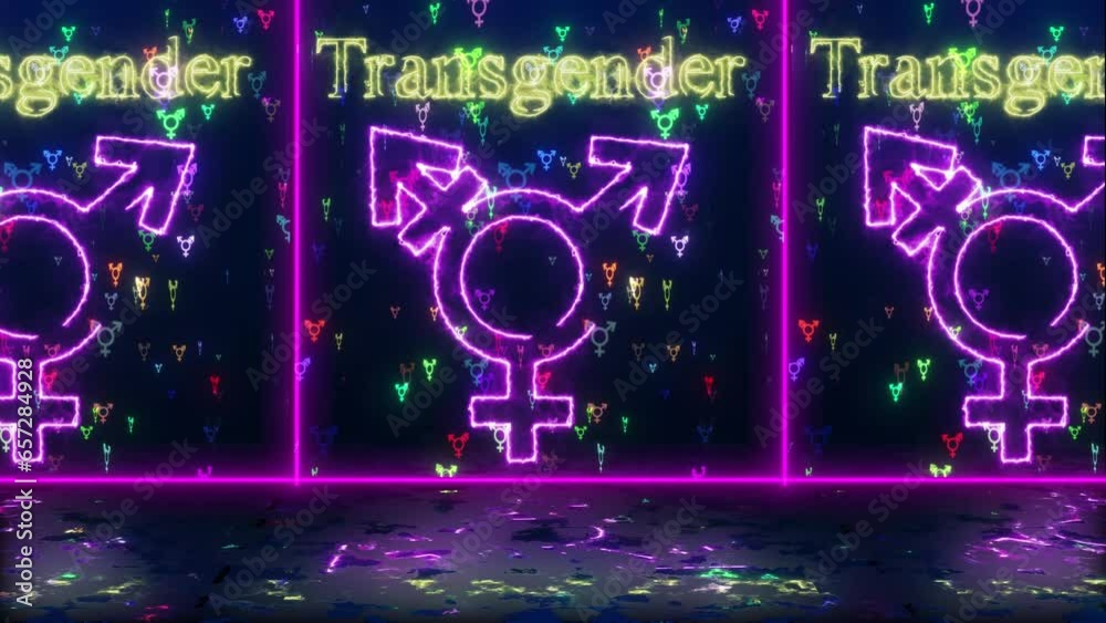 Neon Transgender Sign Animation On Black Background, Transgender Sexual ...