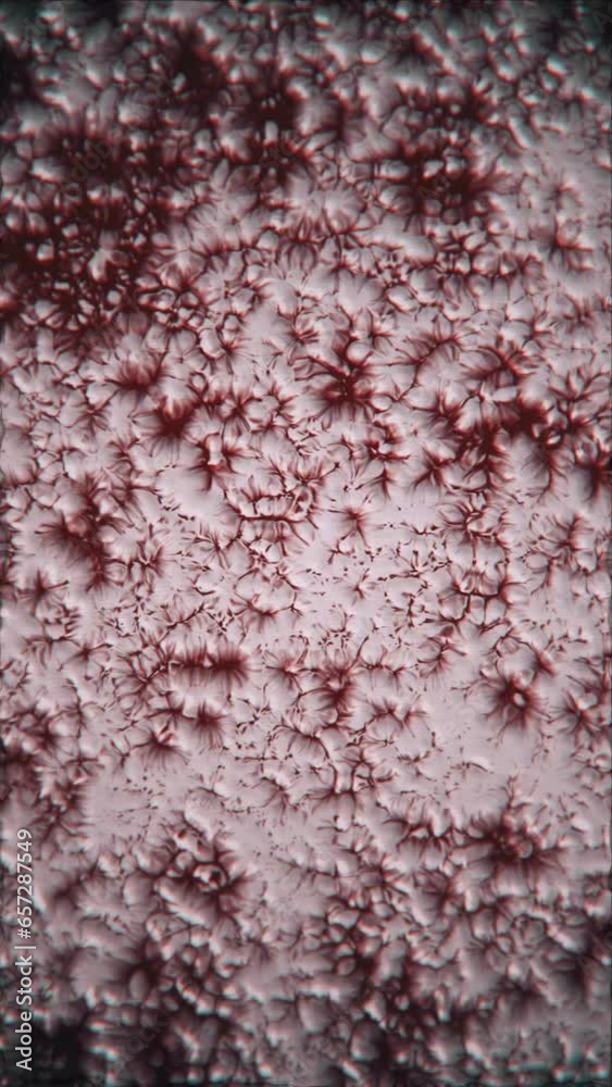 Vertical video - gory horror motion background animation with a gently ...