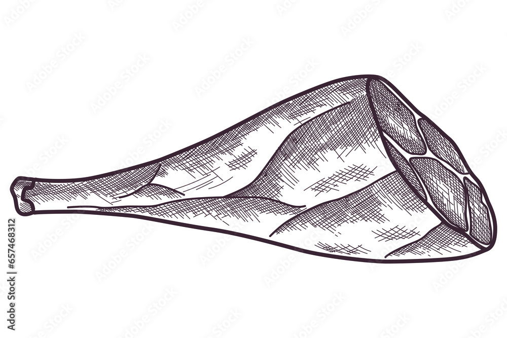Hand drawn jamon. Gourmet meat. Isolated delicious engraving sketch ...