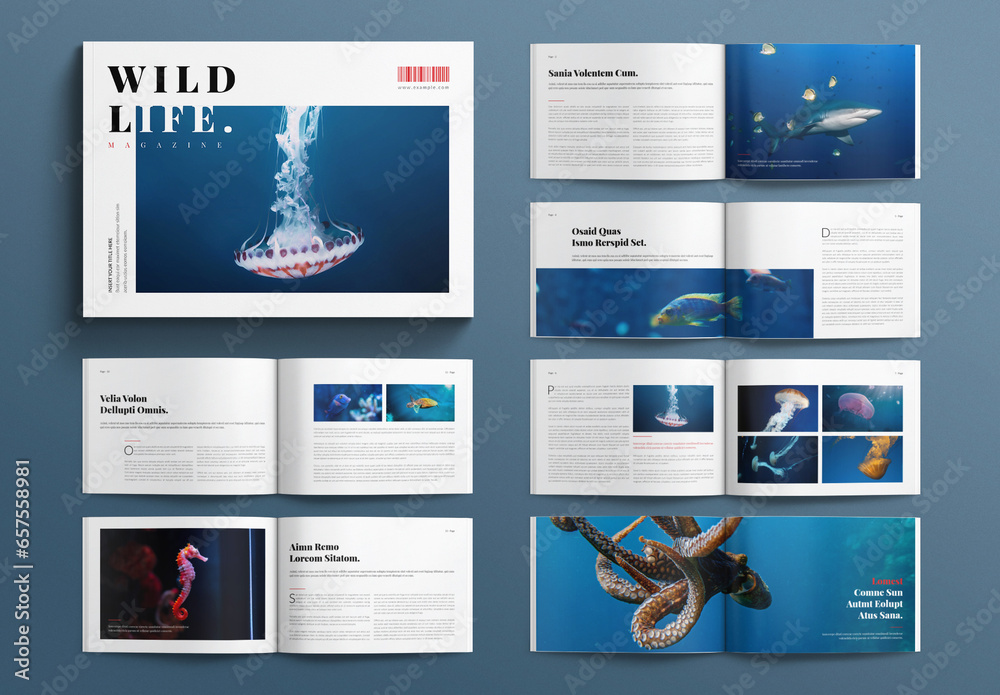Magazine Layout Design Template Landscape plantilla de Stock | Adobe Stock