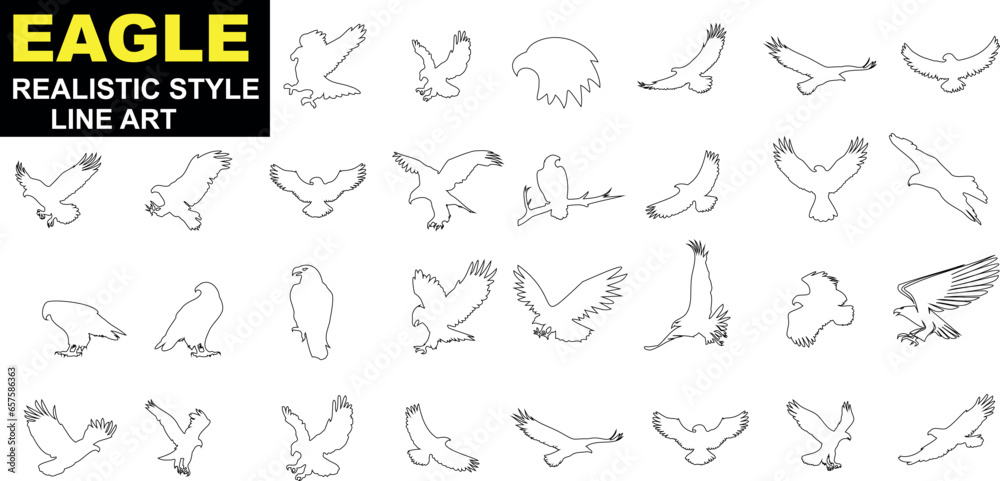 Eagle Vector Illustration, Realistic Style Line Art. Set of 30 ...