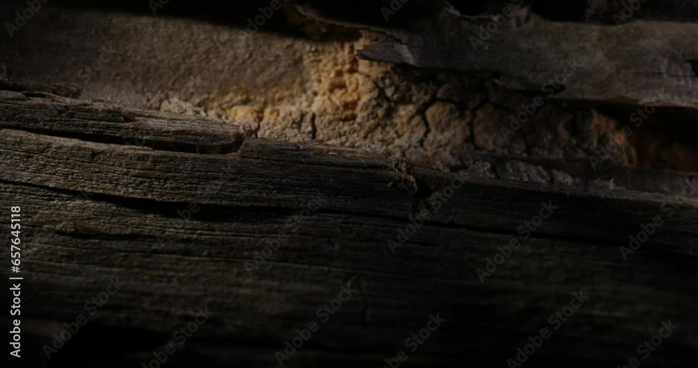 Texture of weathered old wood with scratches and cuts. Damaged aged ...