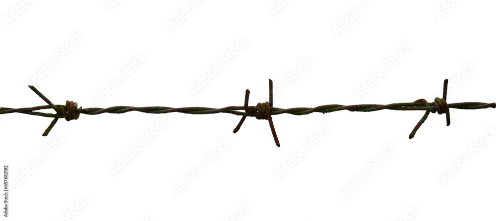 barbed wire on transparent background PNG Stock Photo | Adobe Stock