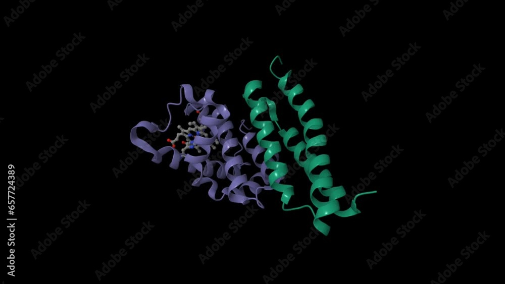 Crystal structure of oxidized alpha hemoglobin (green) bound to alpha ...