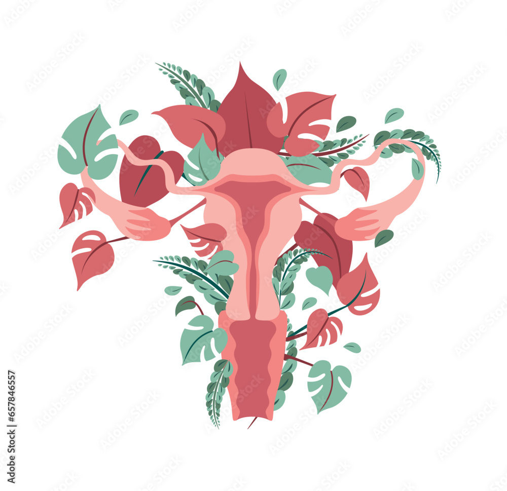 Vector illustration female reproductive system fantasy with botanical ...