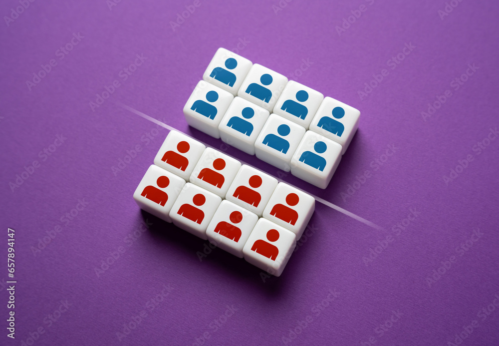 Division into two groups. Opposition factions. Lack of consensus ...