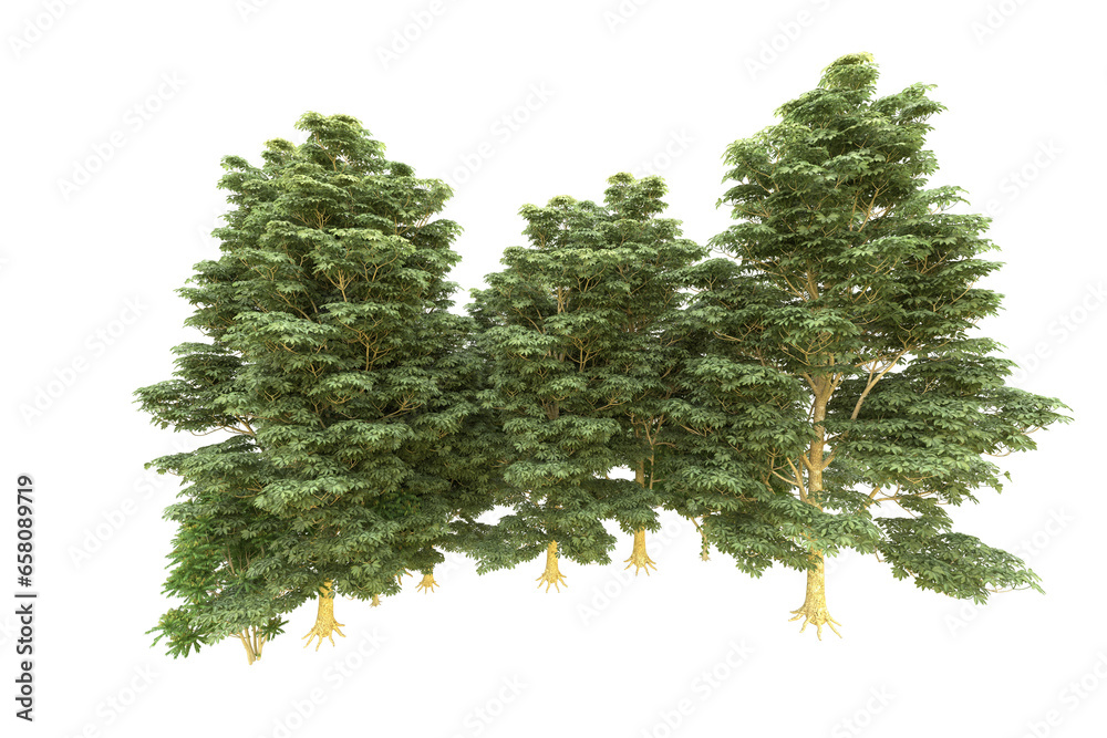 Realistic forest isolated on transparent background. 3d rendering ...