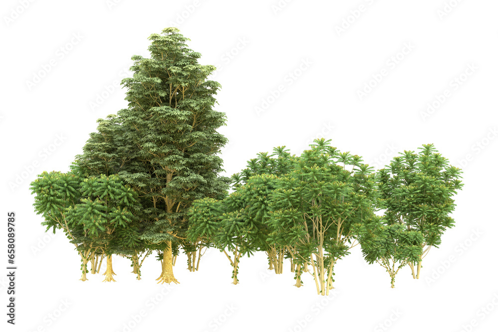 Realistic forest isolated on transparent background. 3d rendering ...