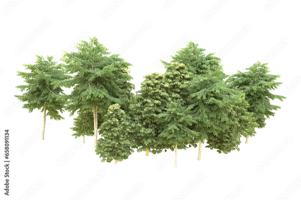 Realistic forest isolated on transparent background. 3d rendering ...