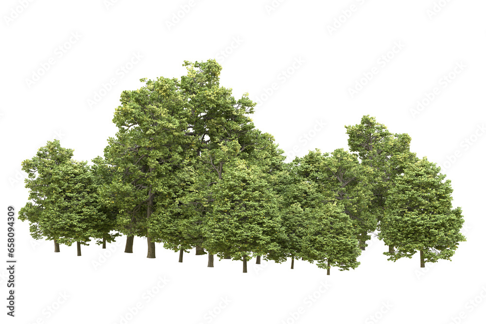 Realistic forest isolated on transparent background. 3d rendering ...