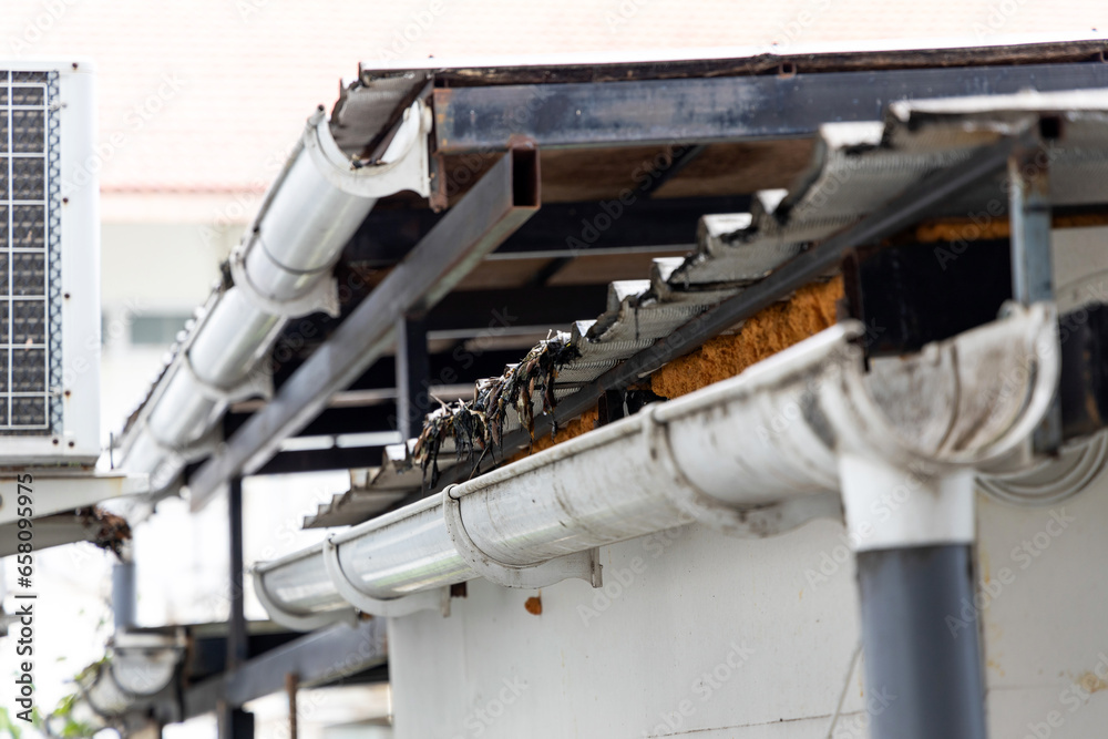 Clogged roof gutter dirty from debris and fallen leaves to prevent ...