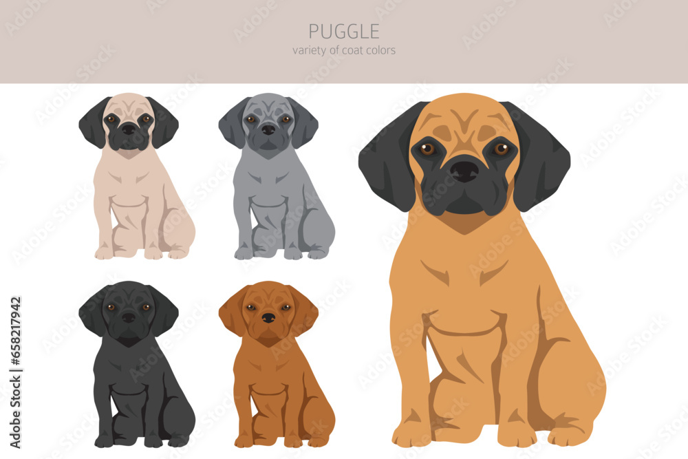 Puggle clipart. Pug beagle mix. Different coat colors set Stock Vector ...