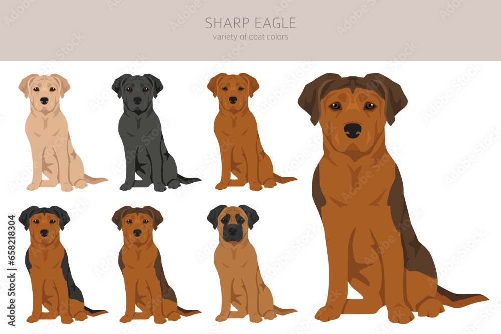 Sharp Eagle clipart. Shar Pei - Beagle mix. Different coat colors set ...