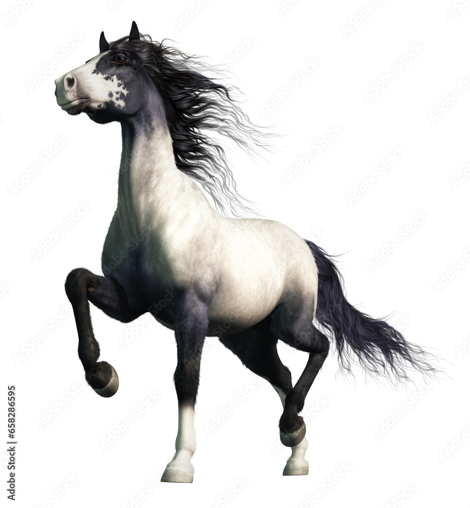 A blue roan is a color pattern in horses where the coat appears to have ...