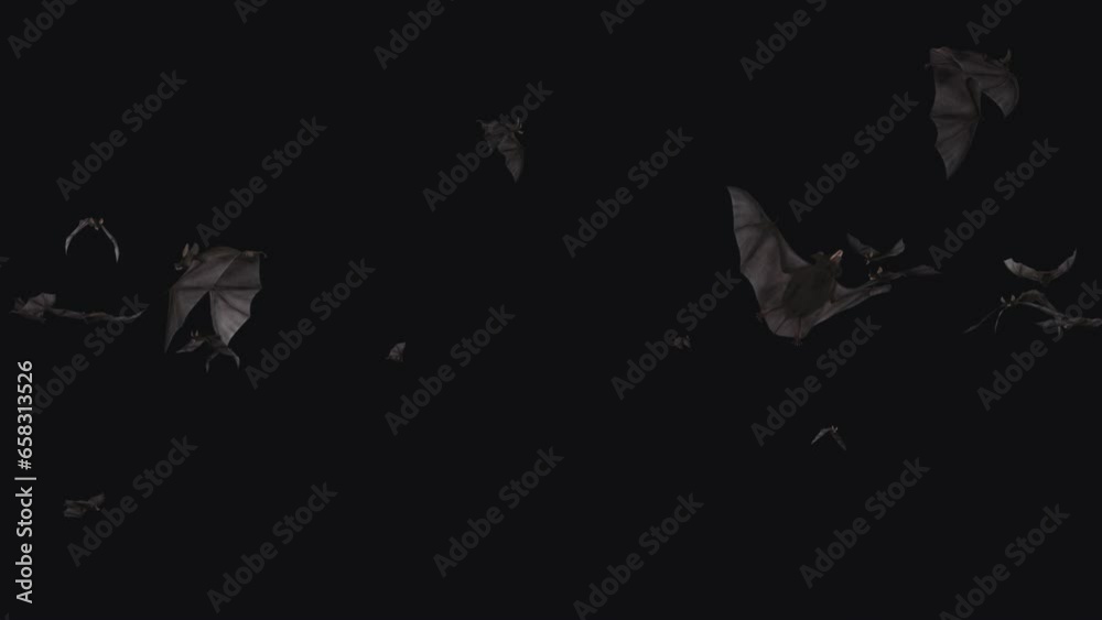 Swarm of Bats - Flying Around Screen - Realistic 3D animation loop with ...
