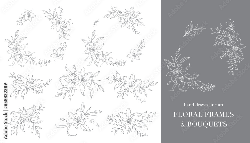 Lily Flower Line Art. Floral Frames and Bouquets Line Art. Fine Line ...