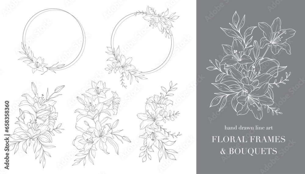 Lily Flower Line Art. Floral Frames and Bouquets Line Art. Fine Line ...
