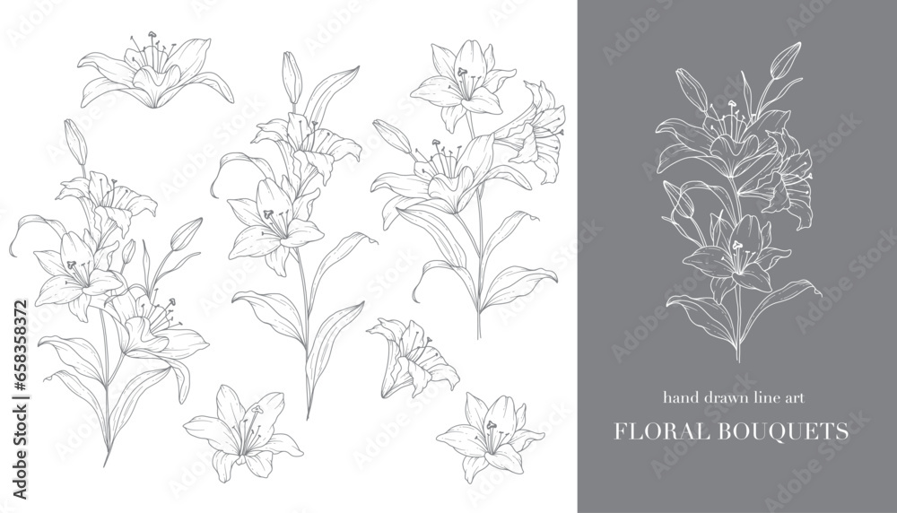 Lily Flower Line Art. Lilies Bouquets Line Art. Fine Line Lilies ...