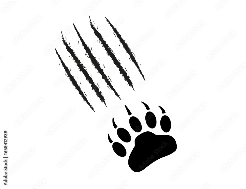Bear or Grizzly Paw print with scratches. Claw marks, cuts, wounds ...