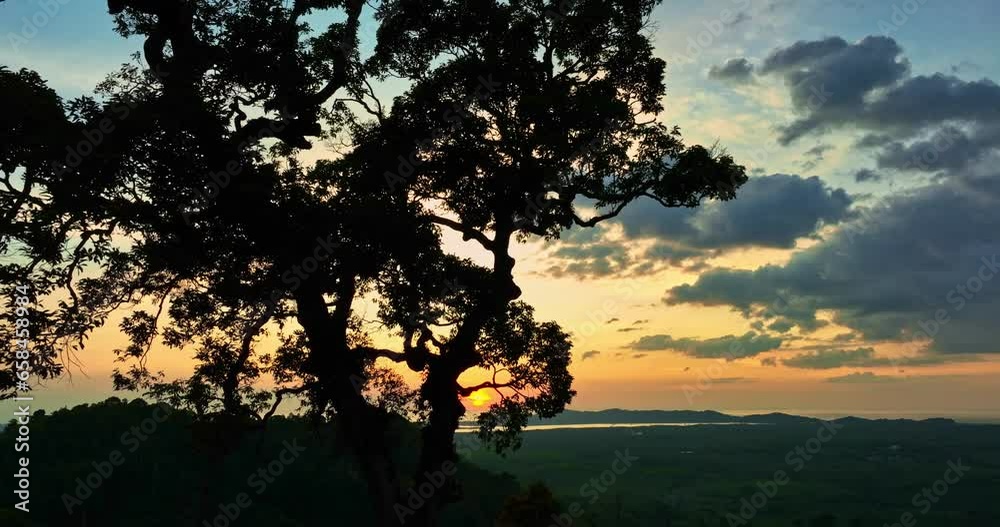 .Aerial view the golden yellow sun shone through the big trees. .The ...