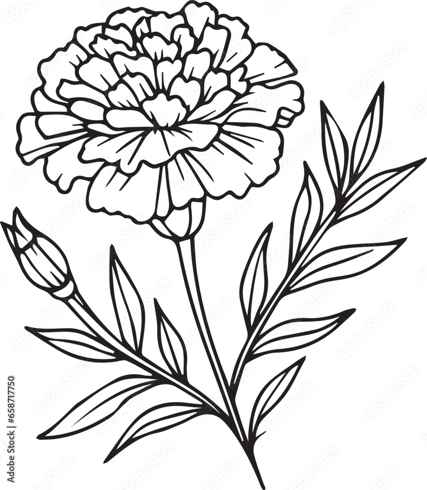 Minimalist marigold tattoo design, marigold October birth flower line ...
