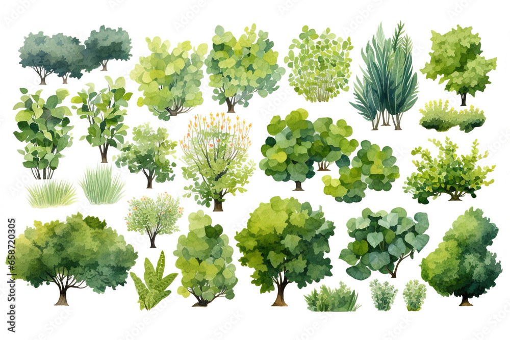 Aerial watercolor illustration of diverse greenery including trees ...