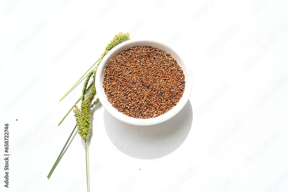 Eleusine coracana or finger millet. It is called Ragi and madua in ...