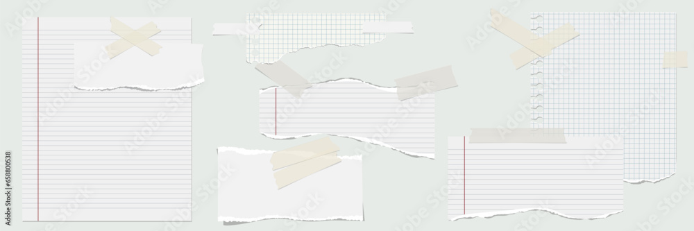 Lined whole sheet of paper and rip pieces with torn adges. Lined note ...