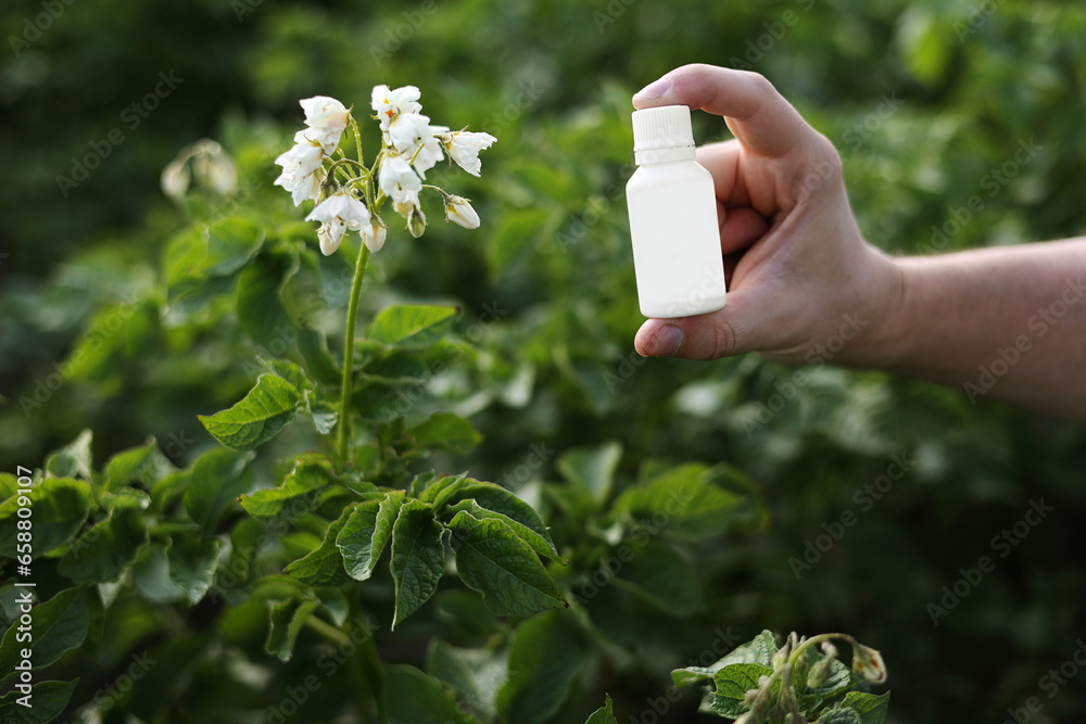 Garden season problems and solution. Cropped photo hand of farmer holds ...