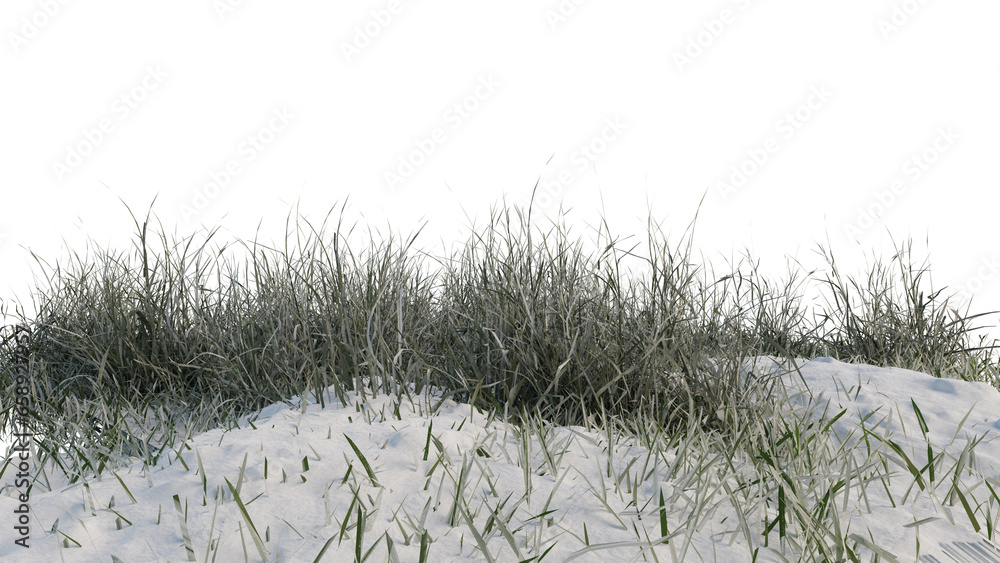 tree and grass with snow in transparent background Stock Illustration ...