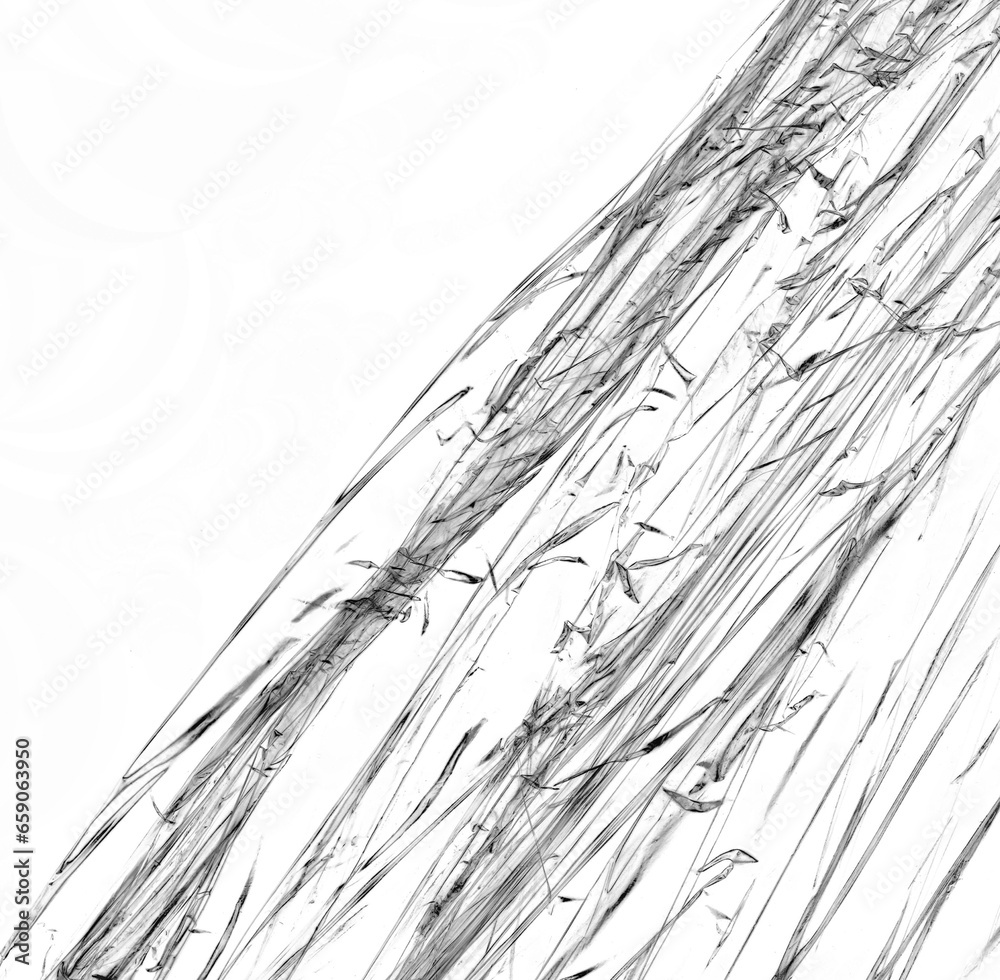Wrinkled plastic wrap texture on transparent background wallpaper ...