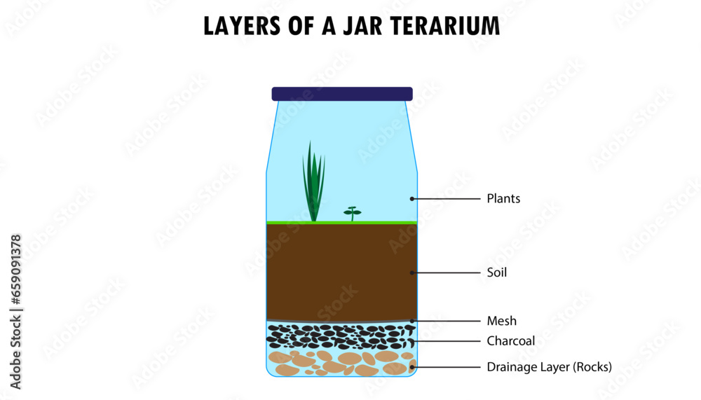 Poster diagram of the layers of a jar terrarium – Wall Art | UkPosters